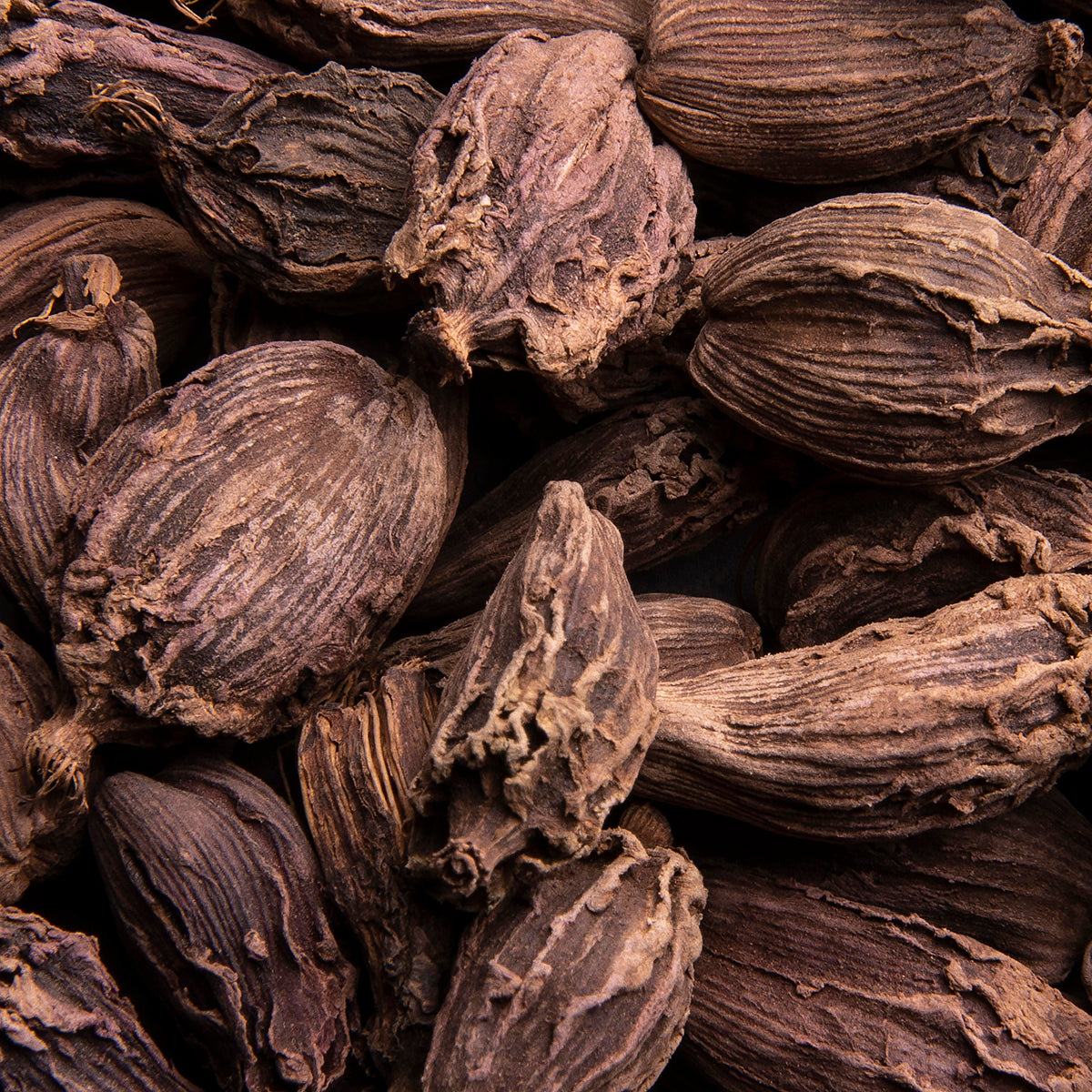 Black Cardamon 50g – SIZLSPICES